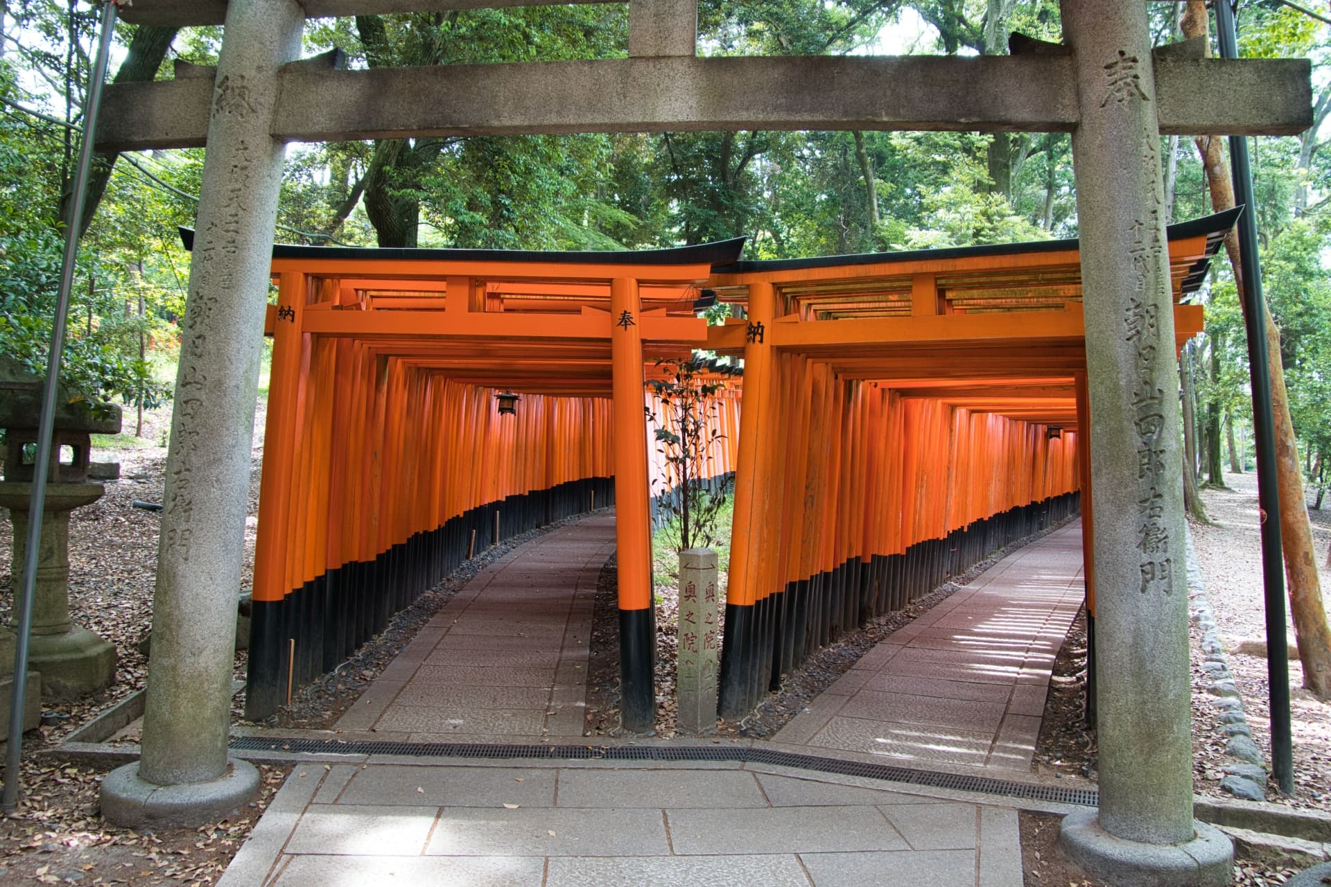 The Mystery of the Thousand Torii Gates of Fushimi-inari-taisha Shrine ...